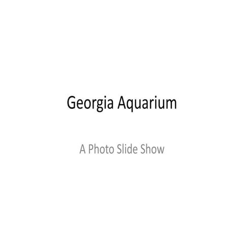 Georgia aquarium | PPT
