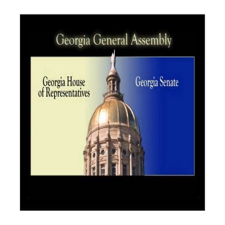 Georgia General Assembly | PDF