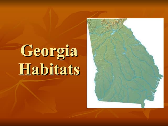 Georgia Habitats Piedmont | PPTX
