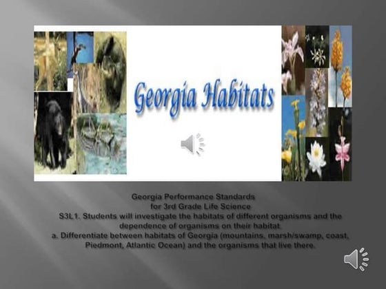 Georgia Habitats Piedmont | PPTX