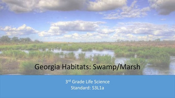 Georgia Habitats Piedmont | PPTX