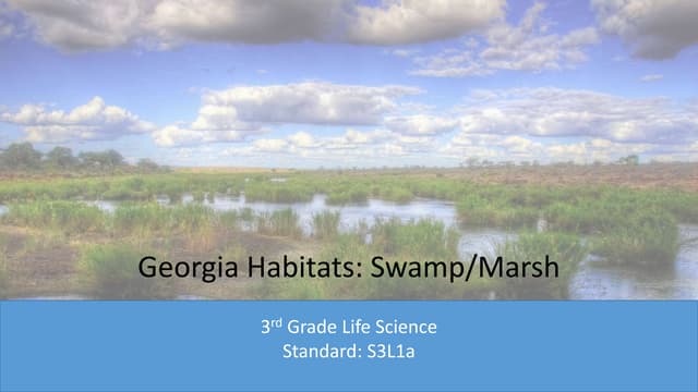 Georgia Habitats Piedmont | PPTX