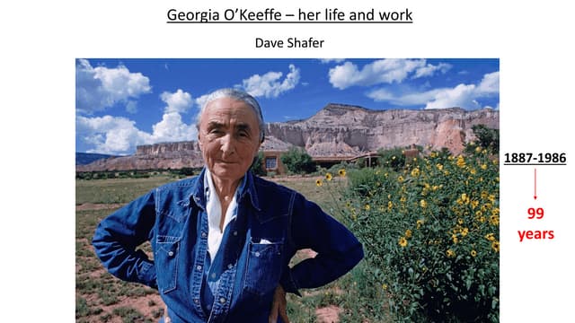 Offner relay design variants | PPTX