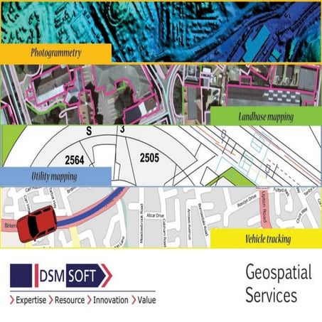 DSM Soft - Geospatial Services | PDF