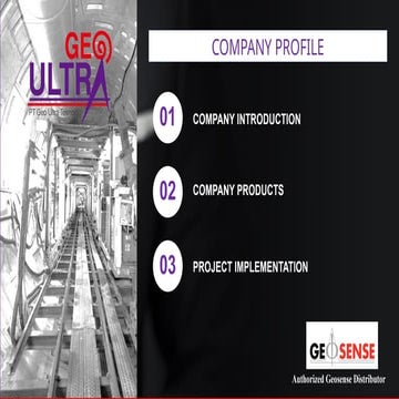 Monitor Company Profile 2021 to 2024.pptx