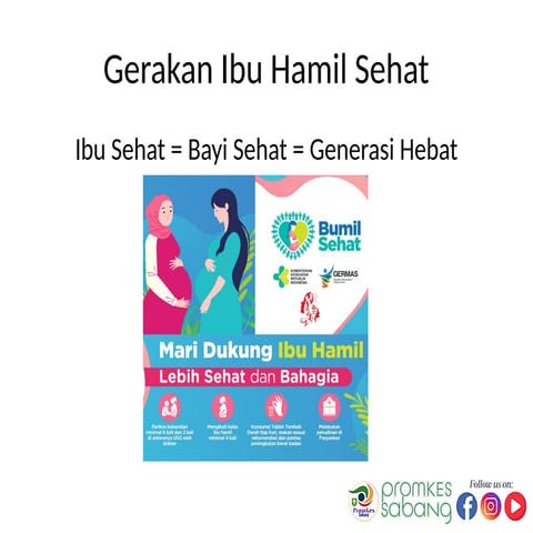 materi presentasi Gerakan_Ibu_Hamil_Sehat.pptx
