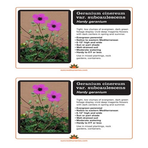 Geranium cinereum var subcaulescens label | PDF