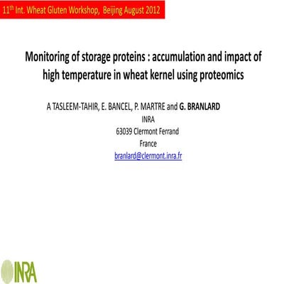 Monitoring of storage proteins: accumulation and impact of high ...