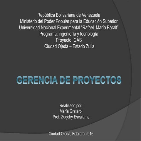 Mapa Conceptual- Gerencia de proyectos | PPTX