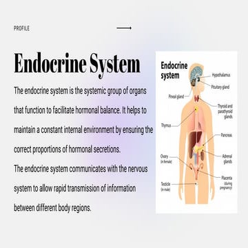 geriatric changes in endocrine system.pdf