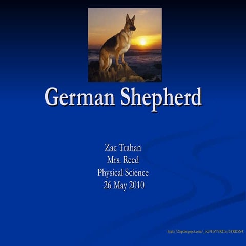 German shepherd (science) | PPT