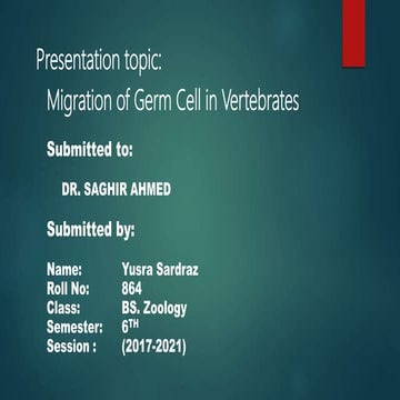Germ cell migration. | PPTX