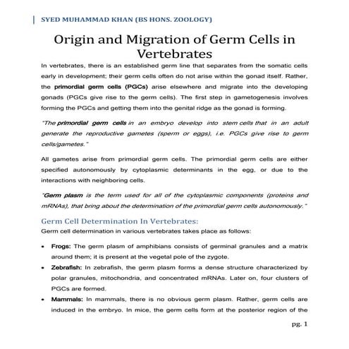 Origin and Migration of Germ Cells in Vertebrates | PDF