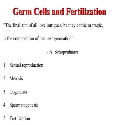 Comprehensive Overview of Xenobiotic Metabolism and Clinical ...