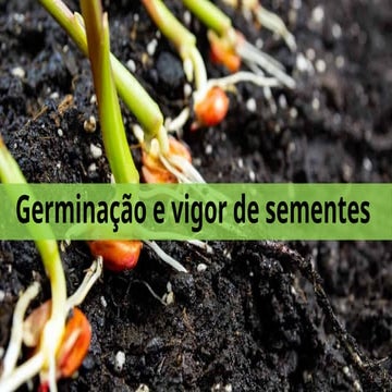 Introdução a Germinação e Vigor de Sementes de grandes culturas.pptx