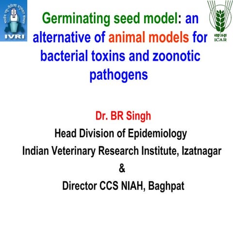Seed Saving Chart | PDF