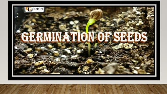 Garden tips planting native plants | PDF