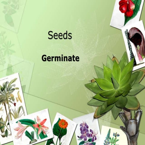 Reproduction in plants for grade 5 | PPT