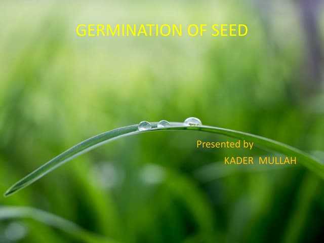 seed physiology | PPT