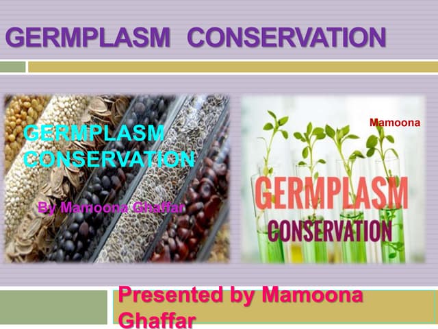 Plant exploration, germplasm collection, conservation and utilization ...