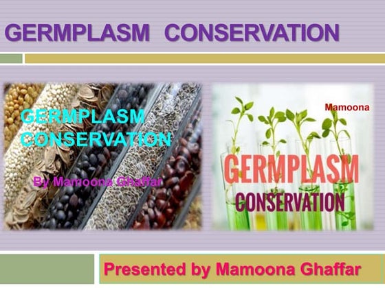 Impact of germplasm conservation | PPT