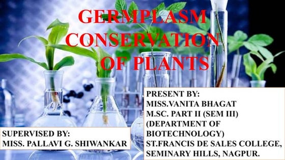 Germplasm conservation | PPT