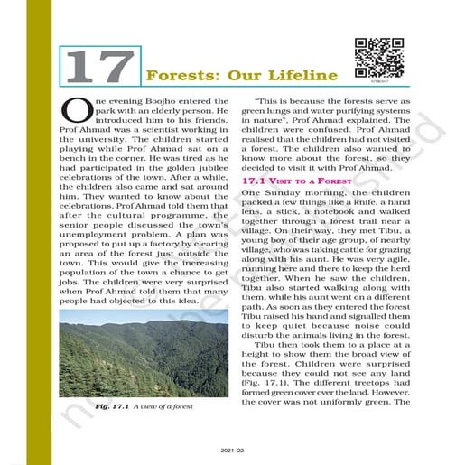 Ch-17 Forest:Our Lifeline of Class 7 Science | PDF