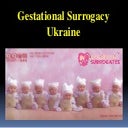 Gestational surrogacy ukraine | PPTX