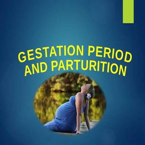 Gestation_Parturition_Full_Presentation 1.pptx