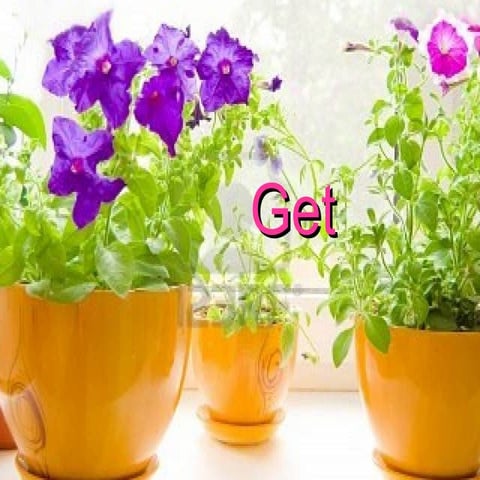 "Get" - meaning of the verb | PPT