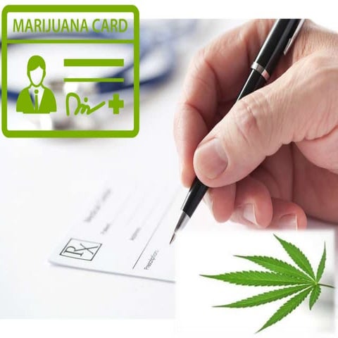 Get Legalized Cannabis Products | PDF