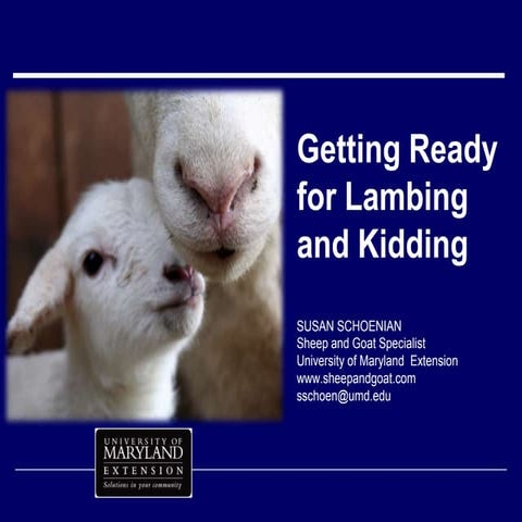 Getting Ready For Lambing And Kidding | PPTX