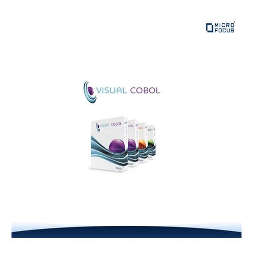 NA Developer Day - Getting started with Visual COBOL | PPT