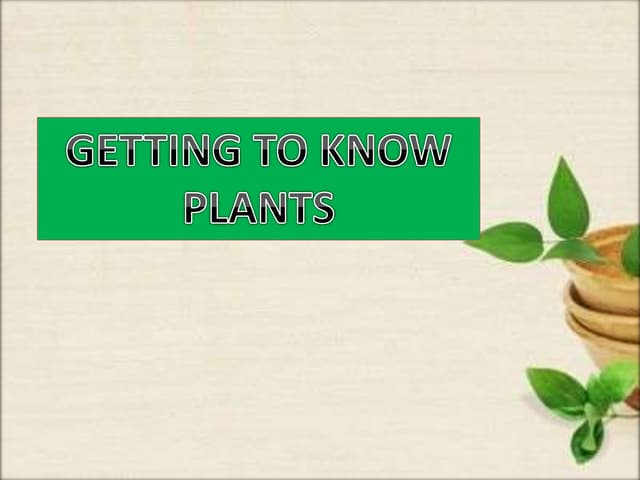 Parts of the plants and their functions | PPT