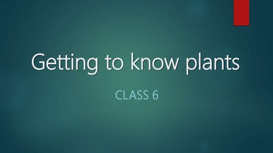 the living organism class 6 ppt | PPT