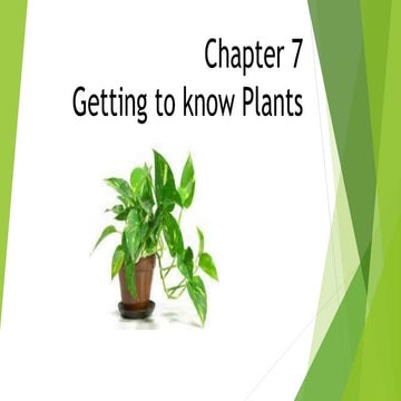 Getting to know Plants 3.pptx