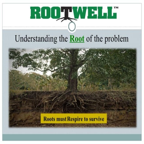 Getting to the root of the problem | PPT
