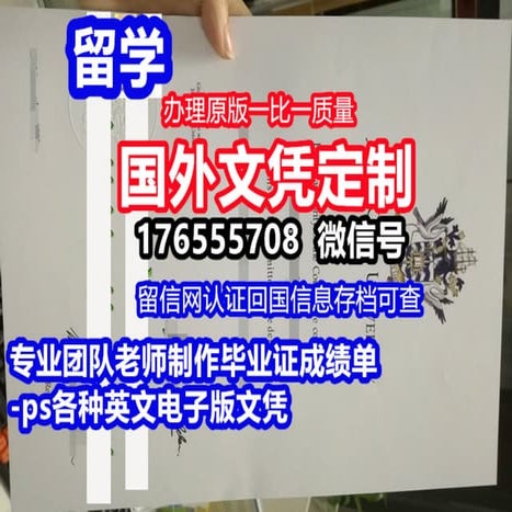 City, University of London degree offer diploma Transcript | PPT