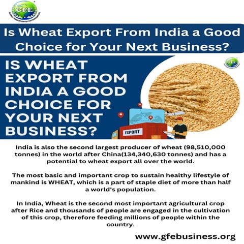 Is Wheat Export From India a Good Choice for Your Next Business? | PDF