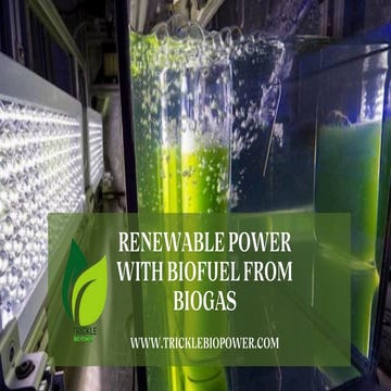 Save Energy Costs with Renewable Biofuel | PPT