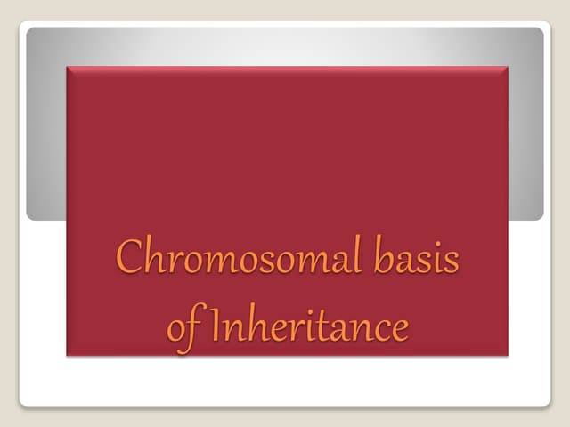 Chromosomal theory of inheritance | PPT