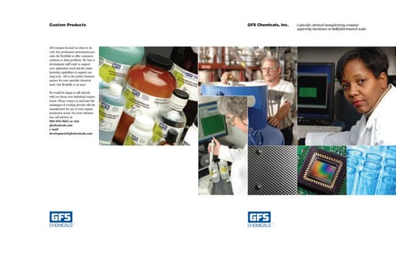 Gfs Core Business | PDF