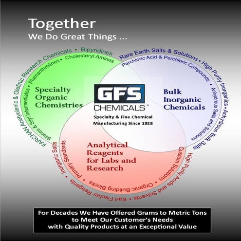 Gfs Core Business | PDF
