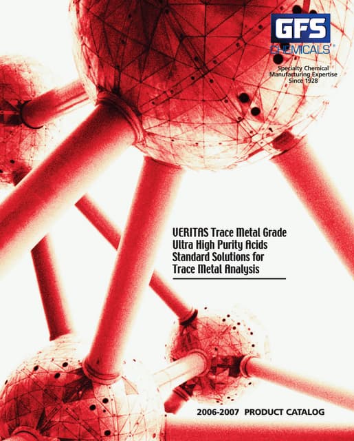 Gfs Core Business | PDF