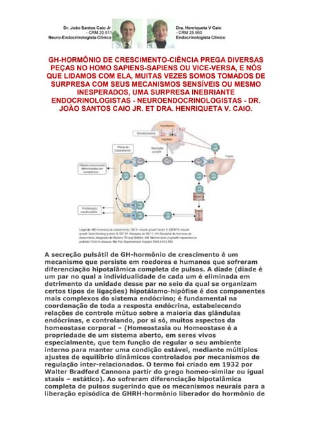 Letter of Recommendation - Jon Feitz | PDF