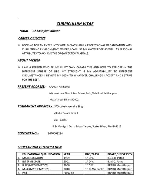 GAFIUR CV | DOC | Programming Languages | Computing