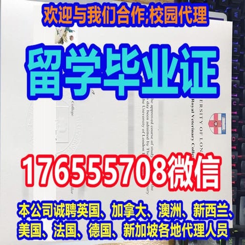 UOG成绩单 | PDF
