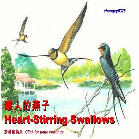 Heart-Stirring Swallows (感人的燕子) | PPS