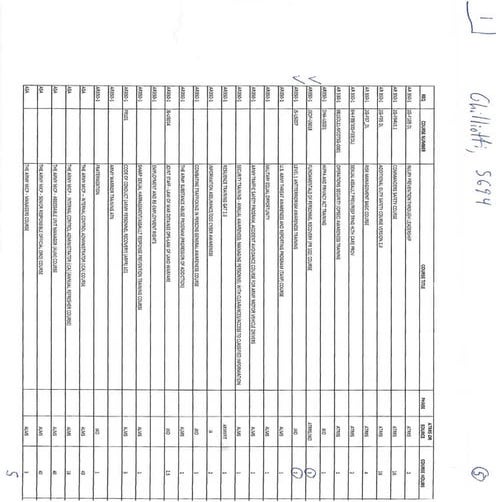 Brian Ghilliotti: USAR: RST Courses | PDF