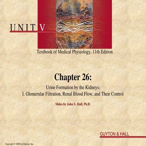 gh_kapitel_026 physiology Chapter 26 Kidneys.pdf | Endocrine and Metabolic Diseases | Diseases ...